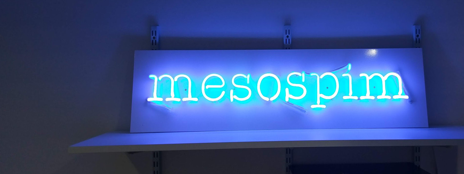 Publications - mesospim.org