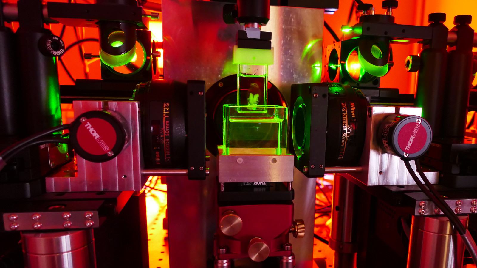 Existing mesoSPIM setups - mesospim.org